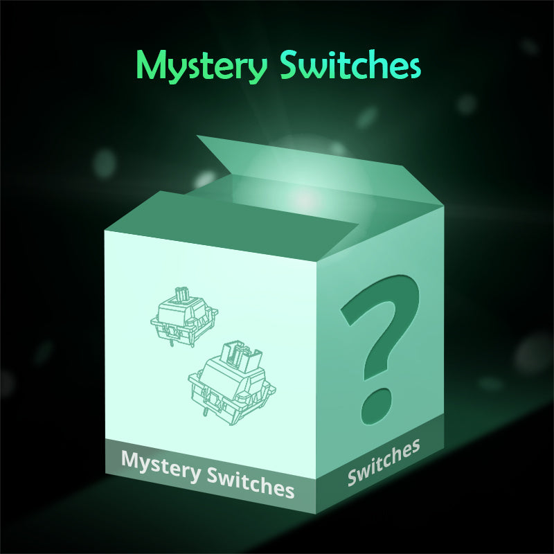 Mystery Switches Box - WhatGeek