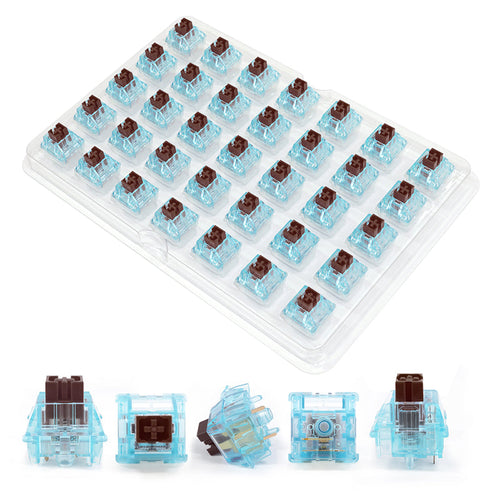 Tactile Switches